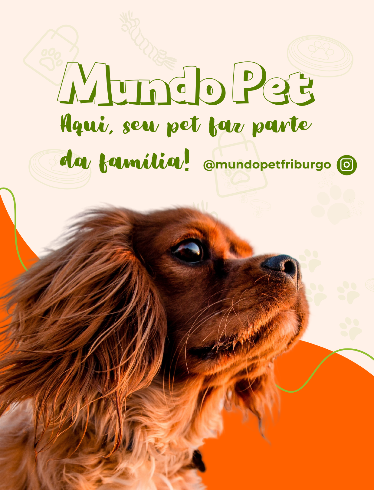Mundo Pet